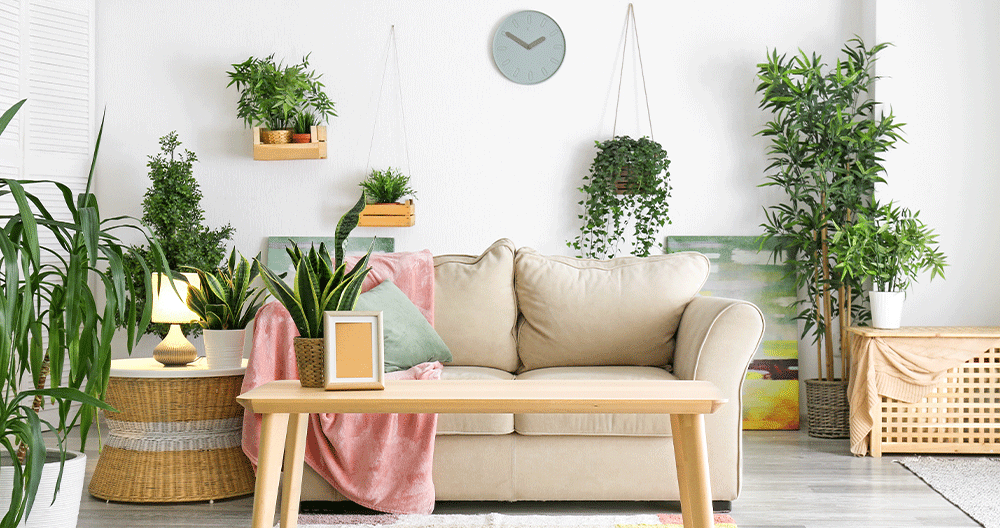 Using Houseplants to Reboot Your Interior Design | Greenstreet Gardens