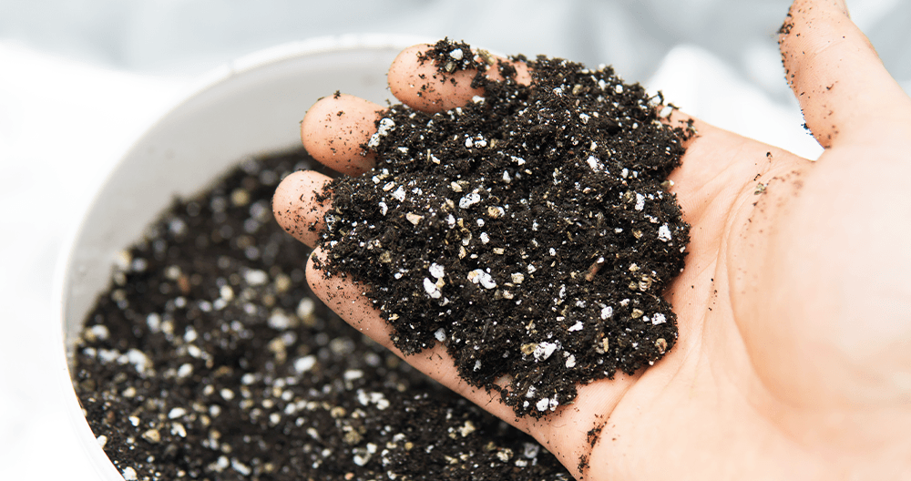 A Guide to Growing Mediums | Greenstreet Gardens