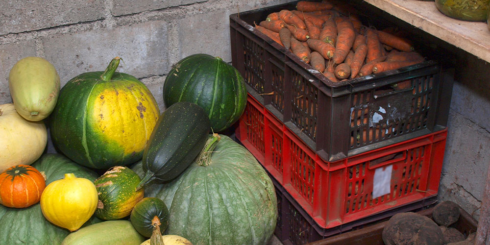 How to Preserve Your Fall Harvest | Greenstreet Gardens
